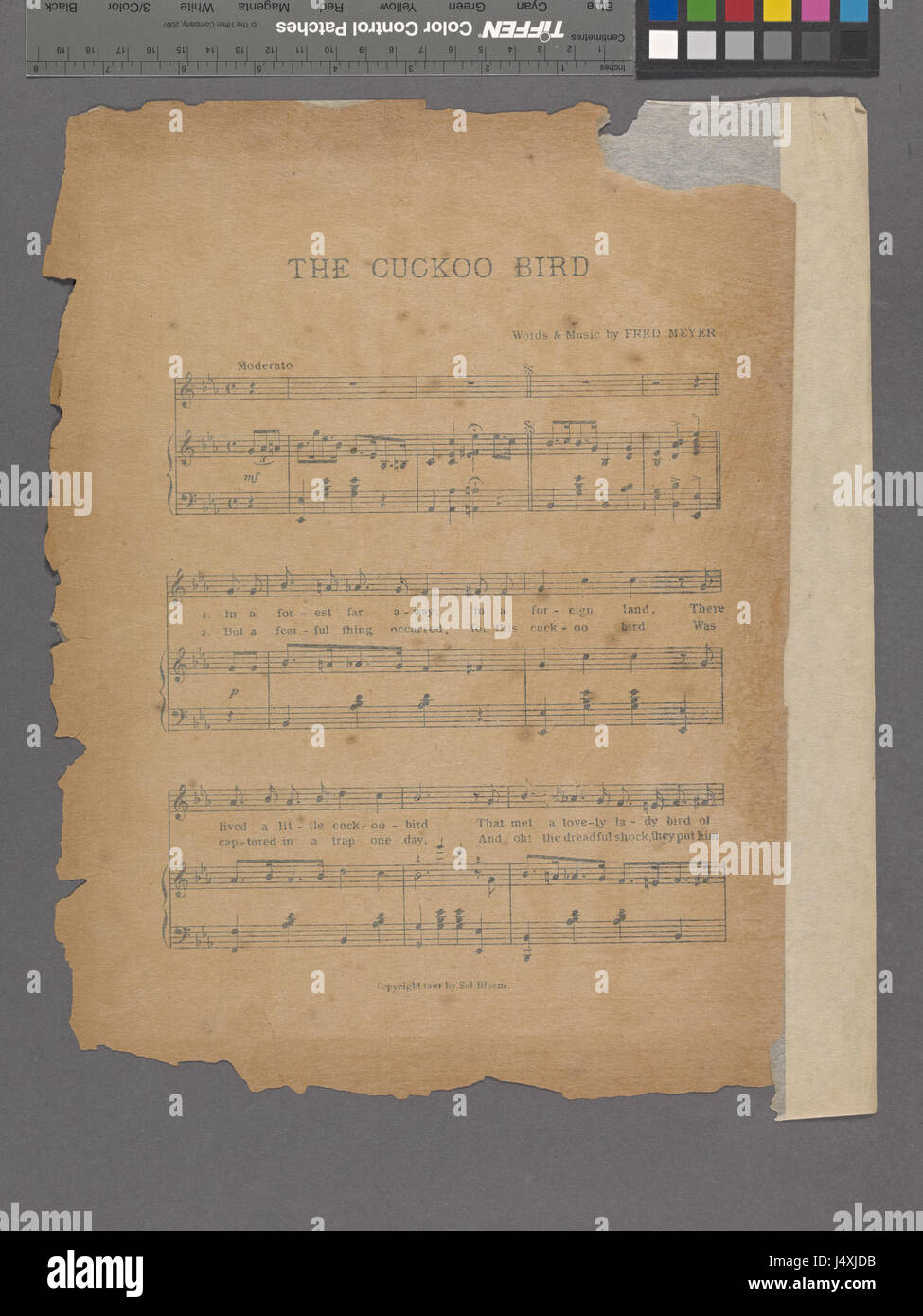 The cuckoo bird, known for its unique call and behavior, is explored in ...