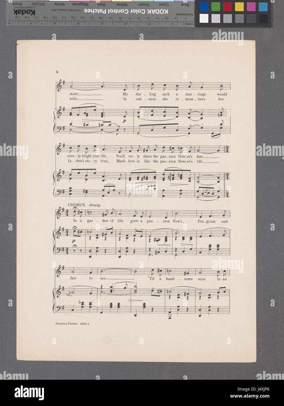 The passion flower (NYPL Hades 1932245 1995559 Stock Photo - Alamy