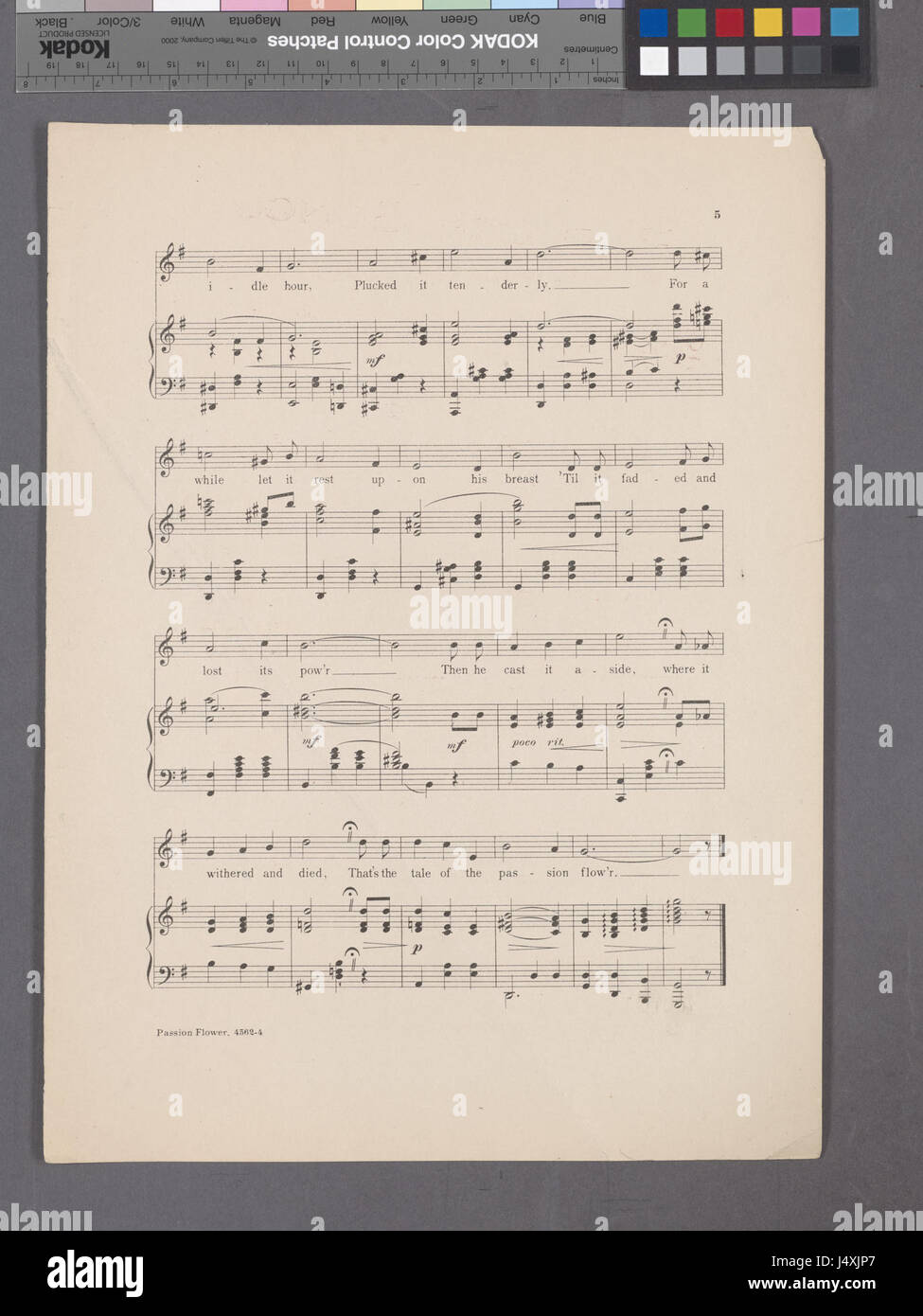 The passion flower (NYPL Hades 1932245 1995560 Stock Photo - Alamy