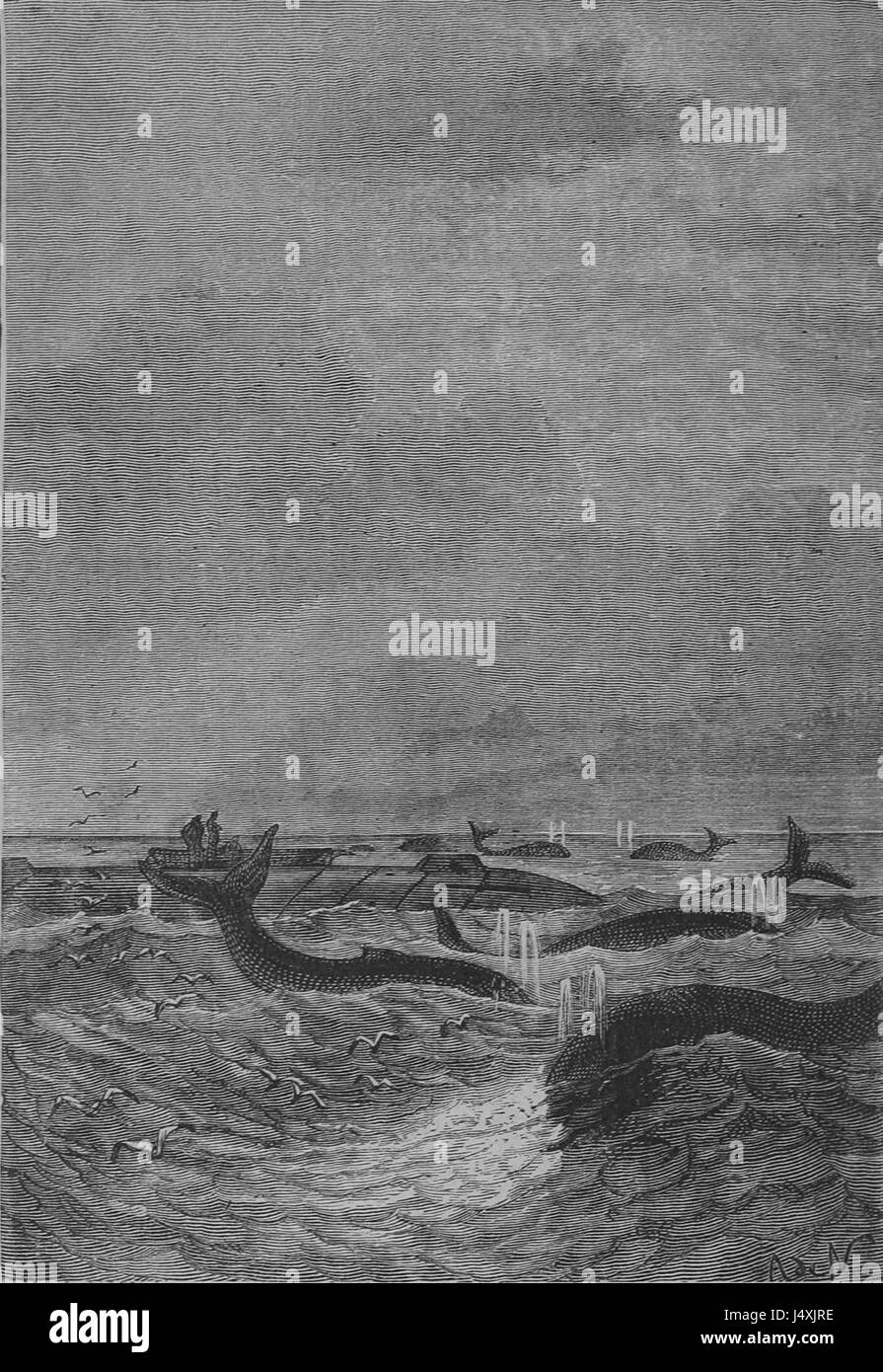 This title likely refers to a work or map from 1876, possibly a French ...