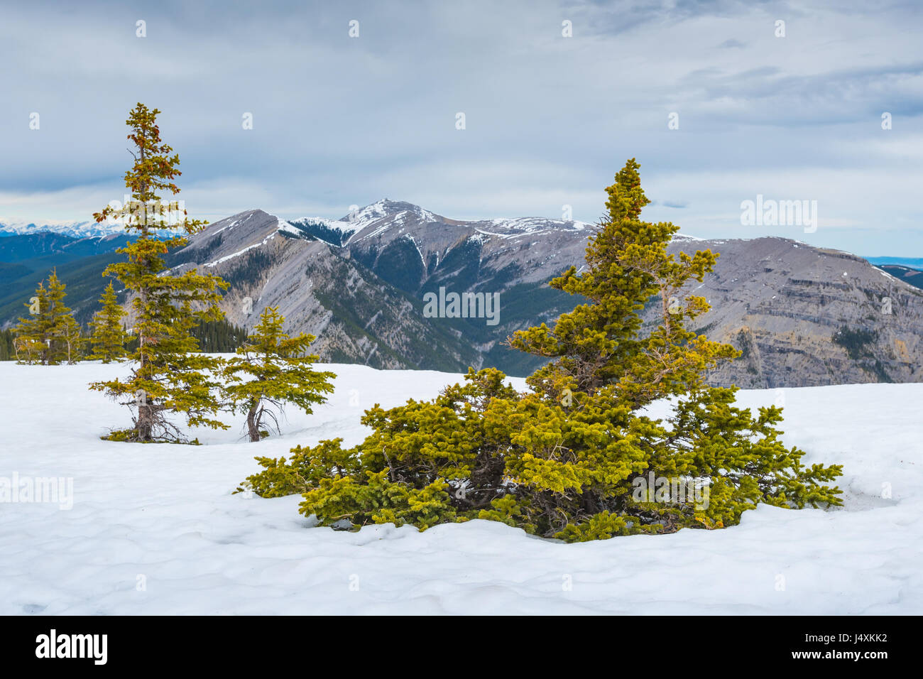 Scenic views of the Eastern Slopes of the Canadian Rocky Mountains ...