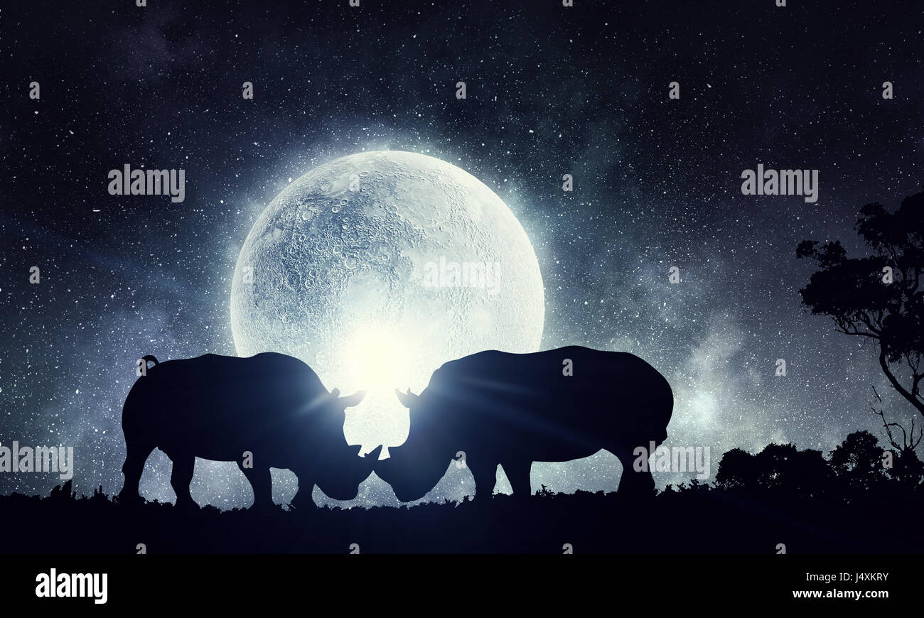 African landscape with wildlife at full moon background Stock Photo - Alamy