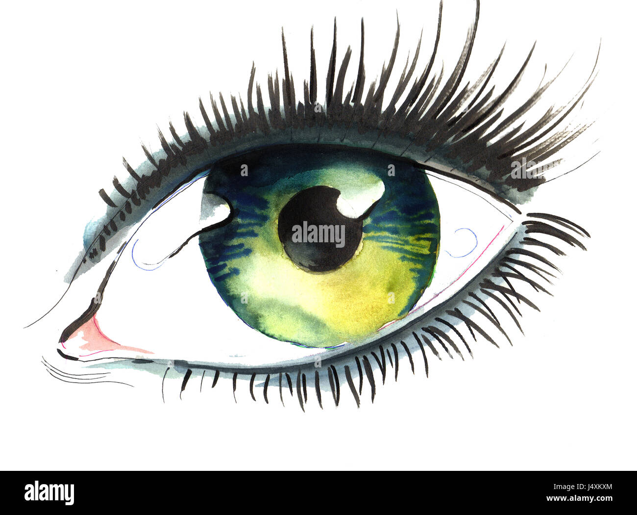 Beautiful green eyes Stock Photo - Alamy