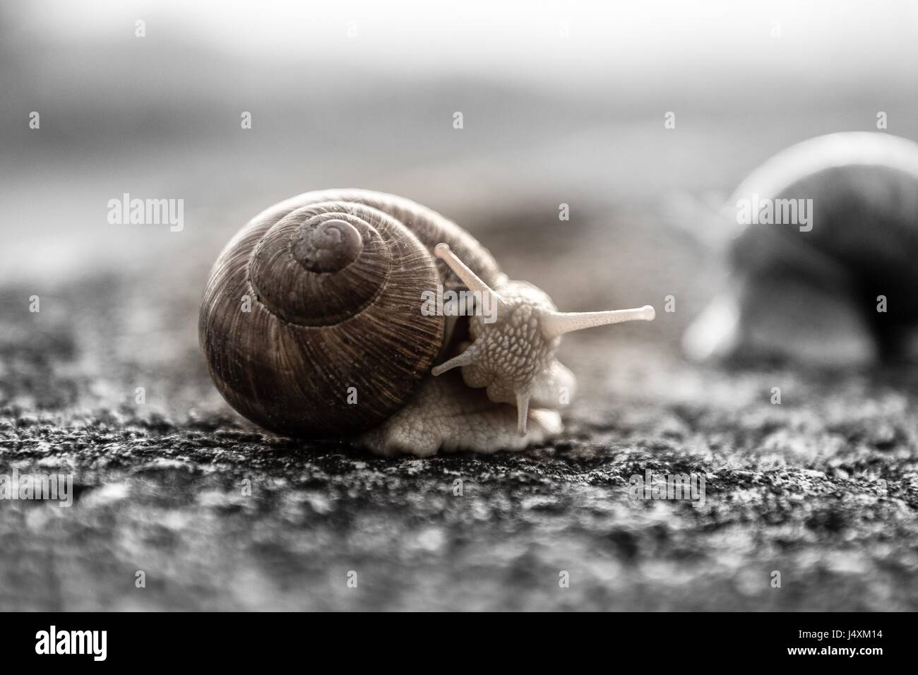 Pluto earth hi-res stock photography and images - Alamy