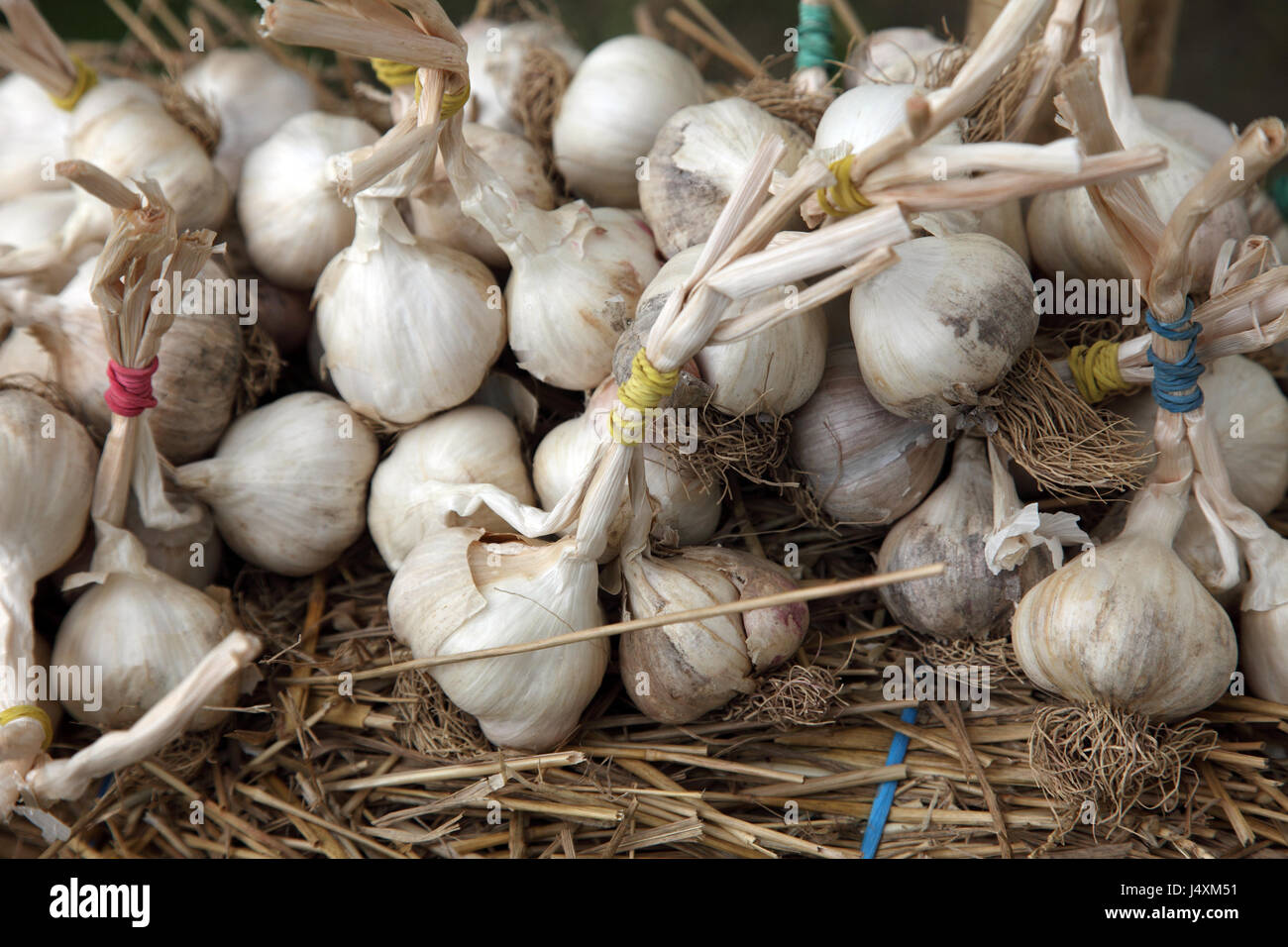 Strings of garlic bulbs hi-res stock photography and images - Alamy