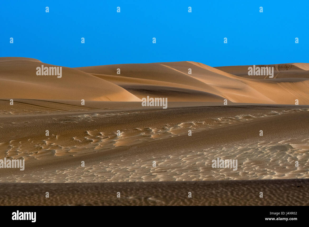 Namibian national parks hi-res stock photography and images - Alamy