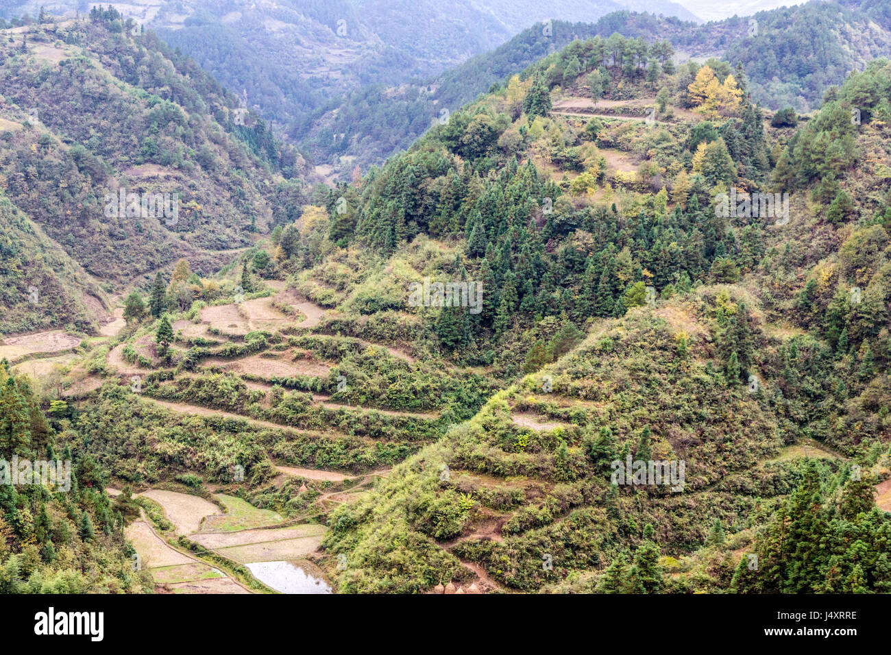China agriculture hi-res stock photography and images - Alamy