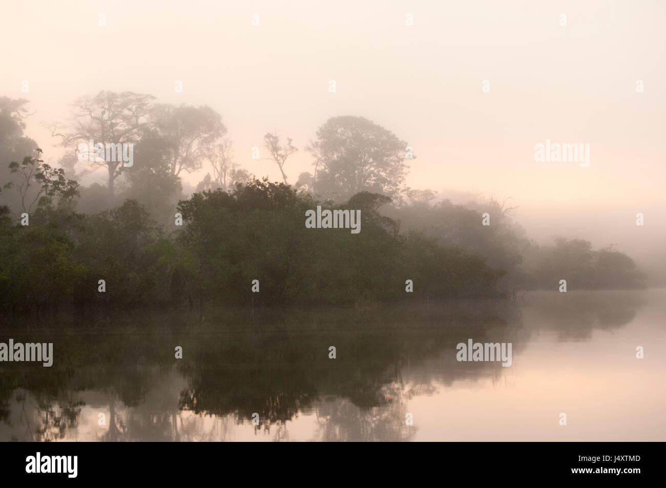 Start of the amazon river hi-res stock photography and images - Alamy