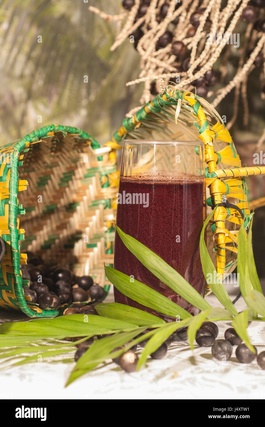 Acai Palm Trees High Resolution Stock Photography and Images - Alamy