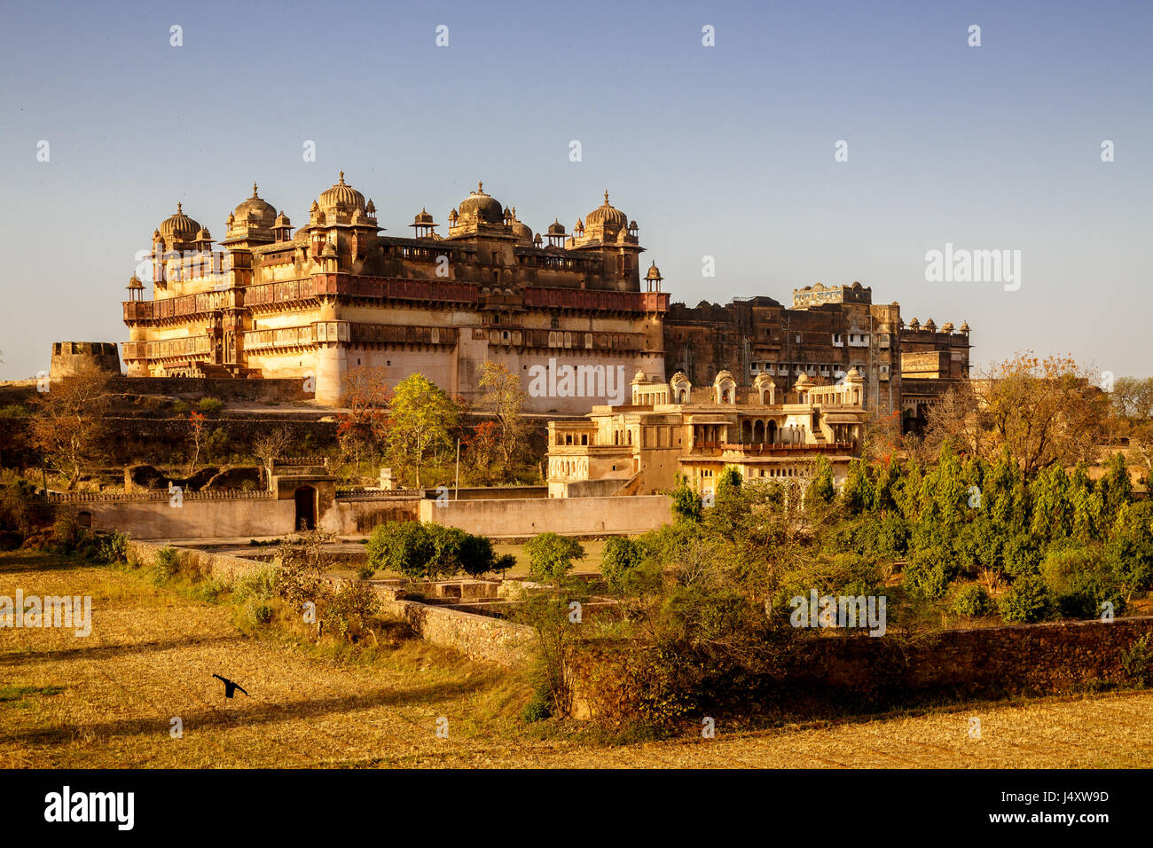 Raj mahal hi-res stock photography and images - Alamy