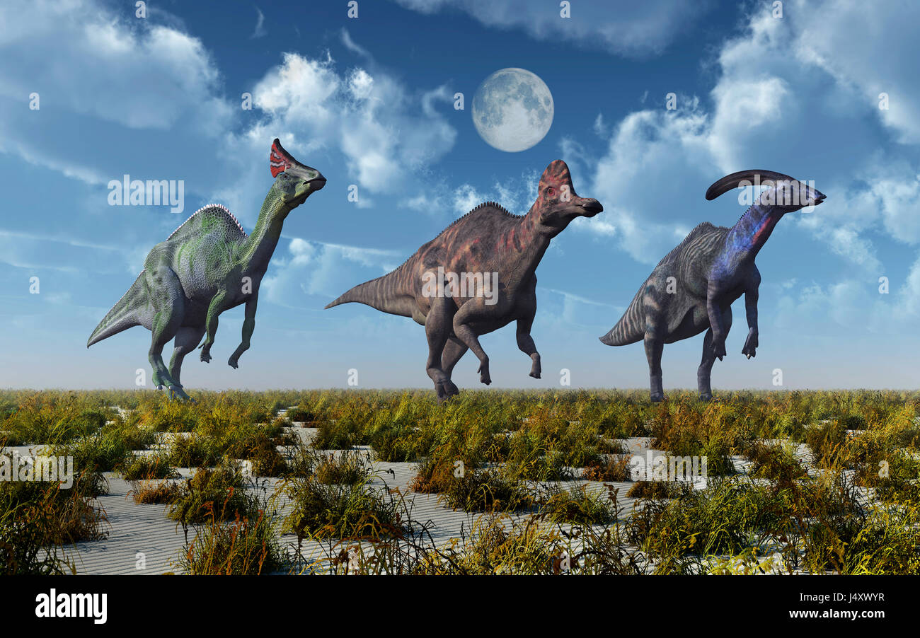 Corythosaurus hi-res stock photography and images - Alamy