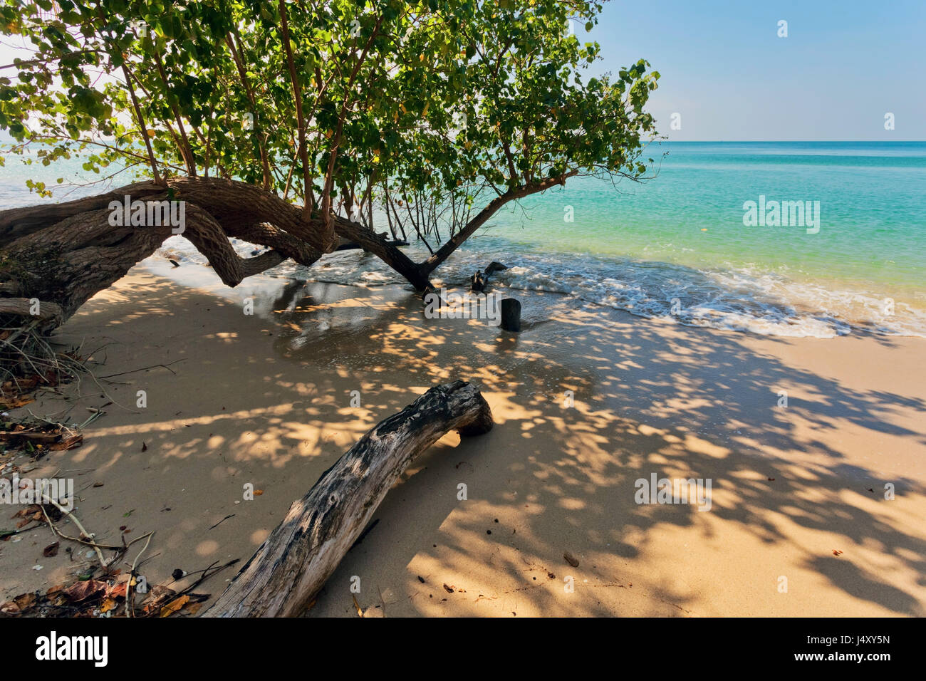 Beautiful tropical beach with sea view, clean water & blue sky. Nature ...