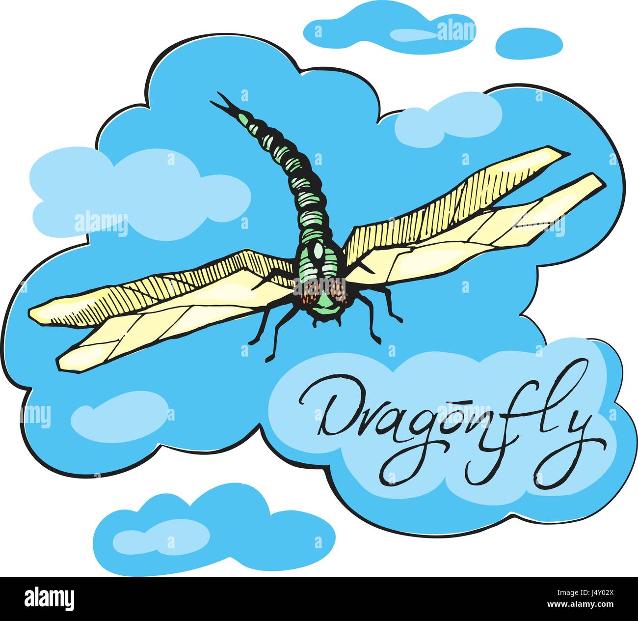 Dragonfly drawing hi-res stock photography and images - Alamy