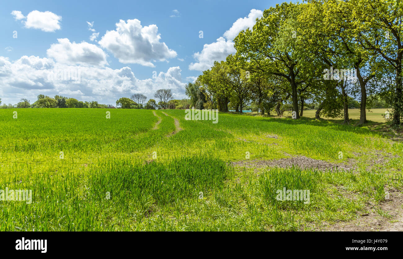A view of the countryside and area around Ashurst Beacon at Up Holland ...