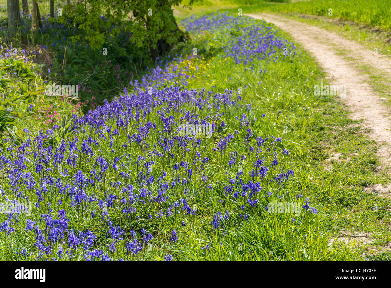 Skelmersdale uk hi-res stock photography and images - Alamy