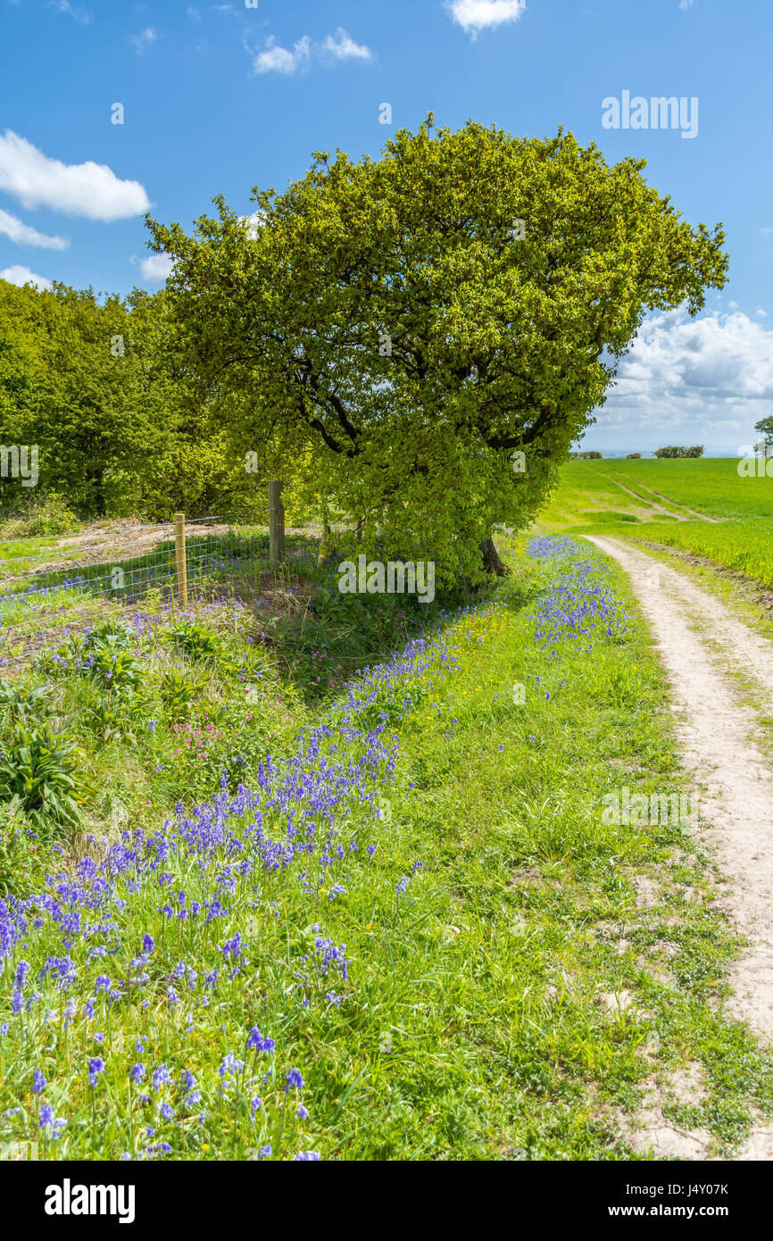 A view of the countryside and area around Ashurst Beacon at Up Holland ...