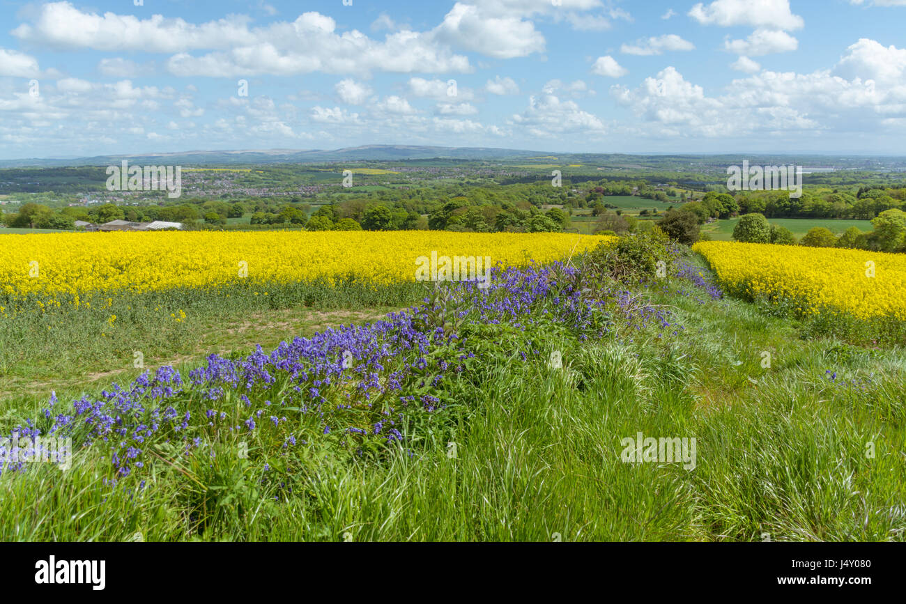 A view of the countryside and area around Ashurst Beacon at Up Holland ...