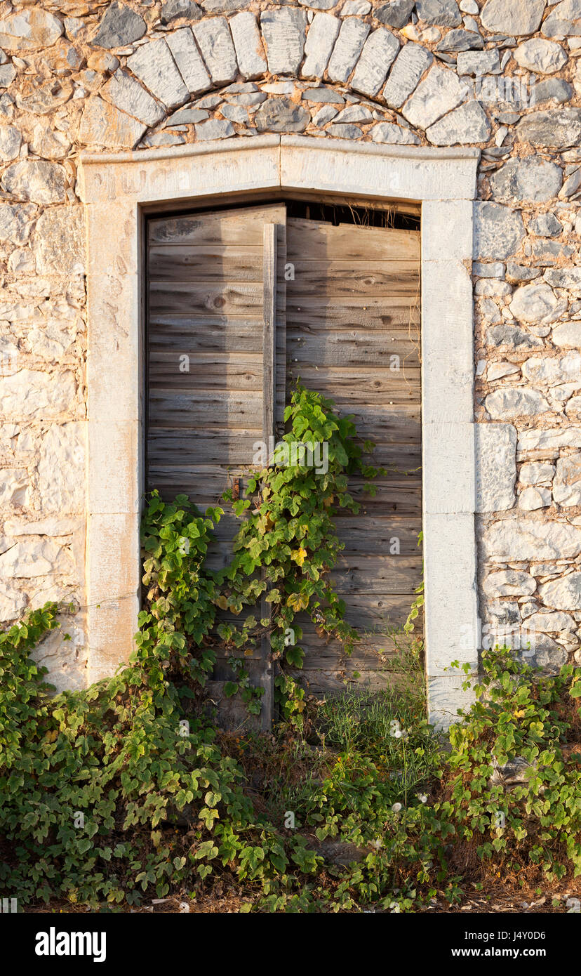 very old doors in ancient greek stone building overgrown by ivy in ...
