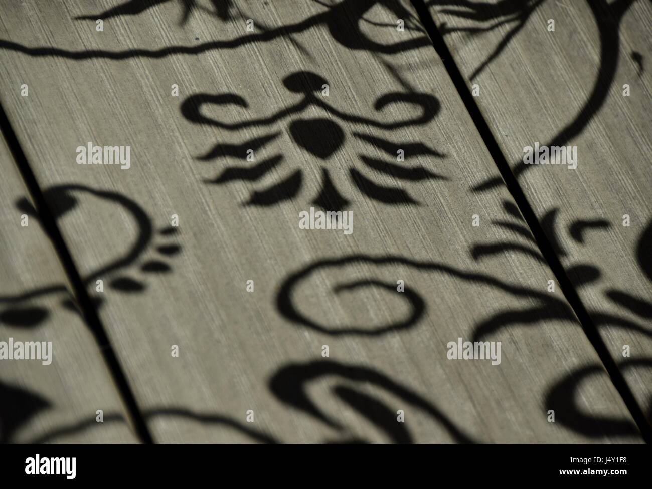 Shadows on the wooden floor that looks like tatoo tribals Stock Photo ...