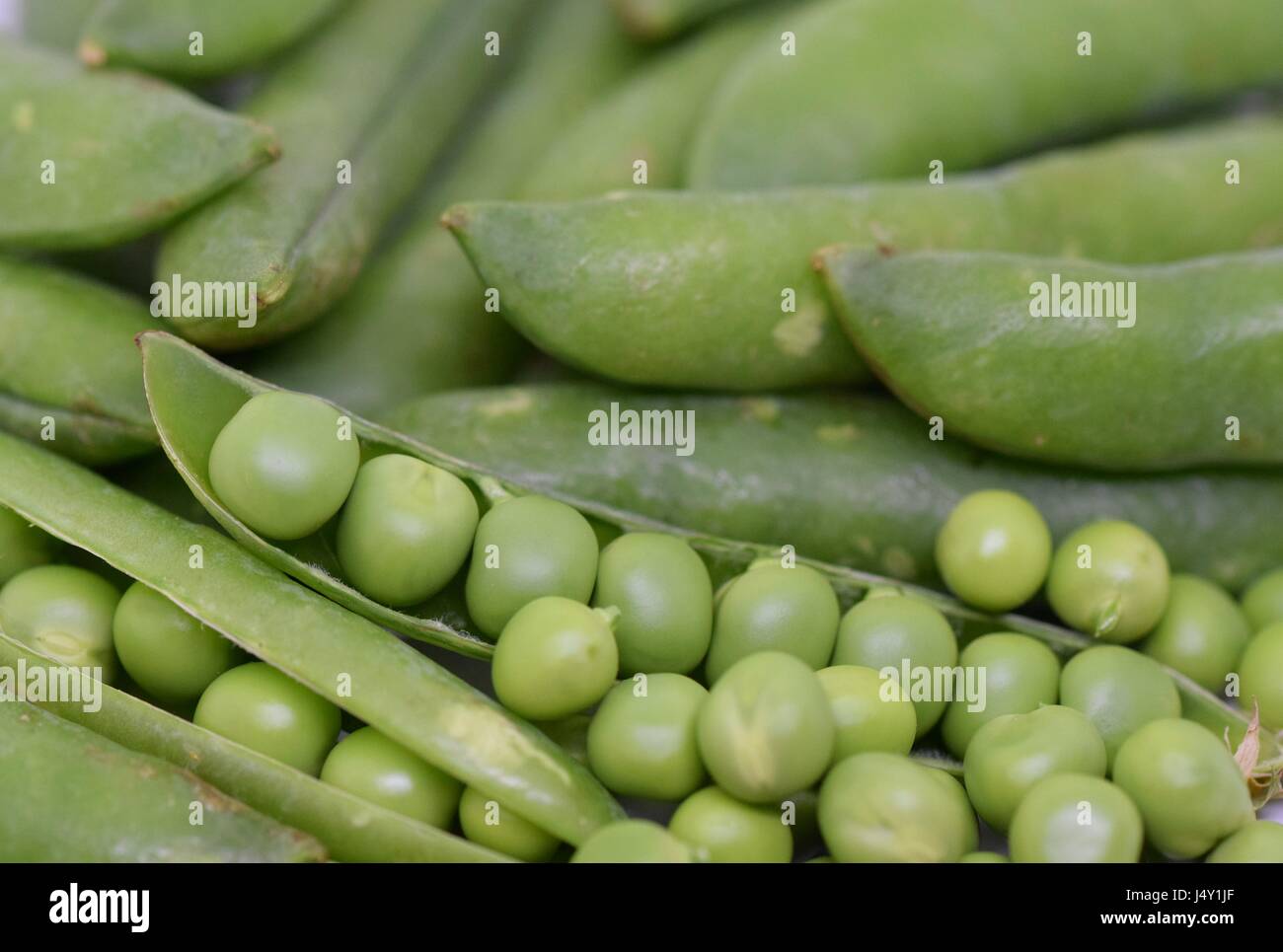 Close view on organic peas in his pod and pulled out from his peel ...