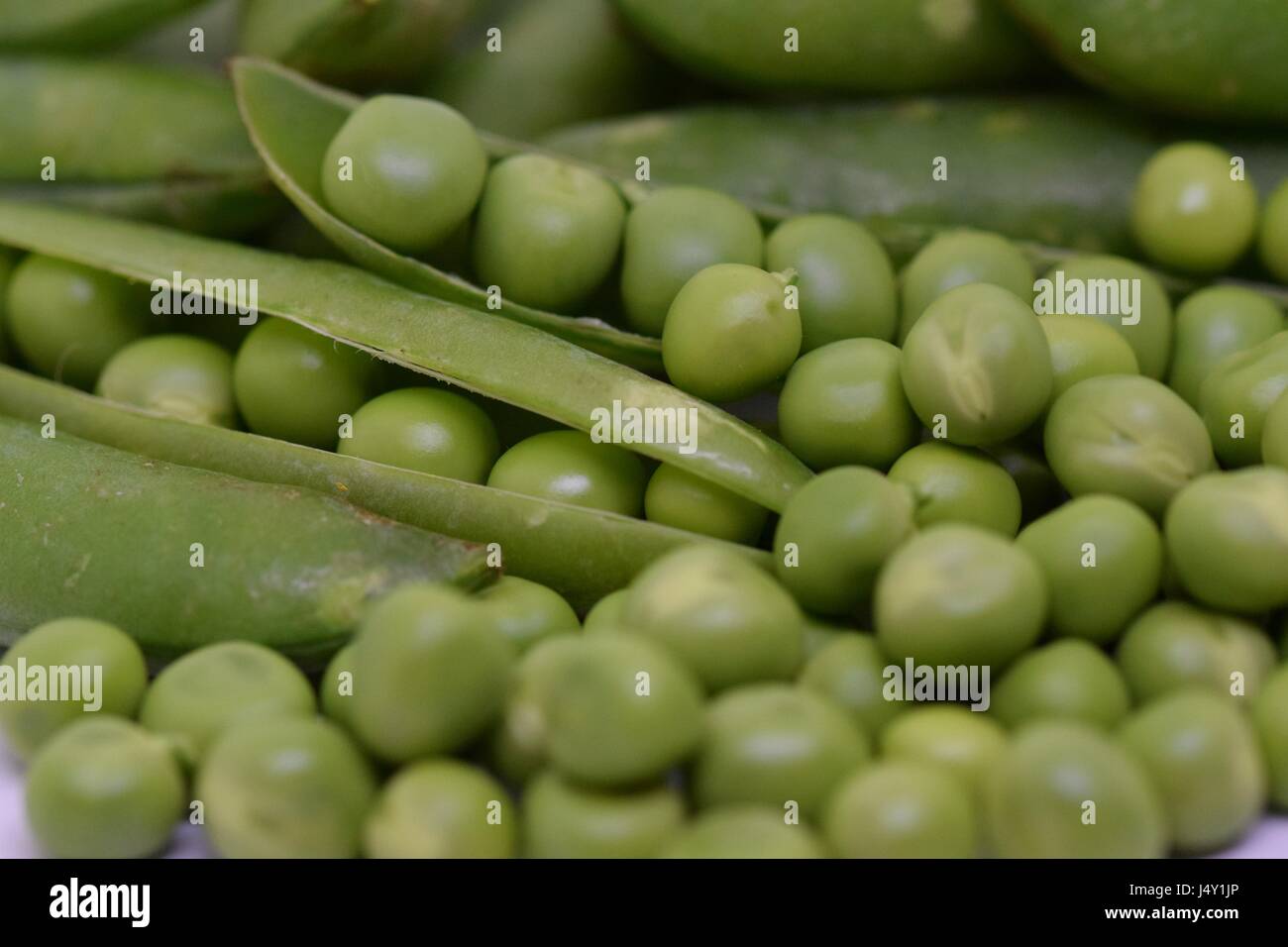 Close view on organic peas in his pod and pulled out from his peel ...