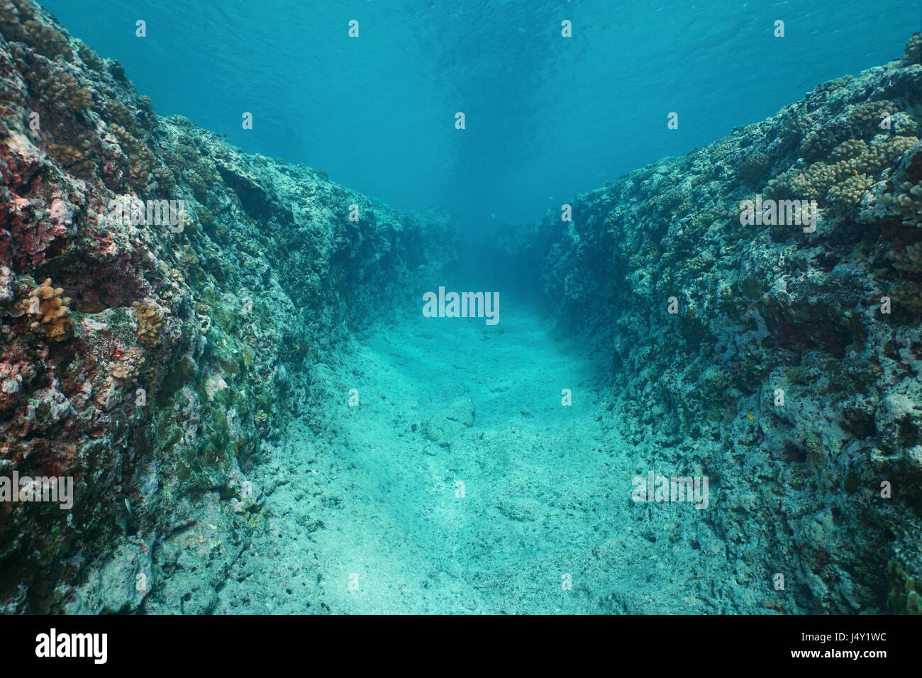 Underwater trench High Resolution Stock Photography and Images - Alamy