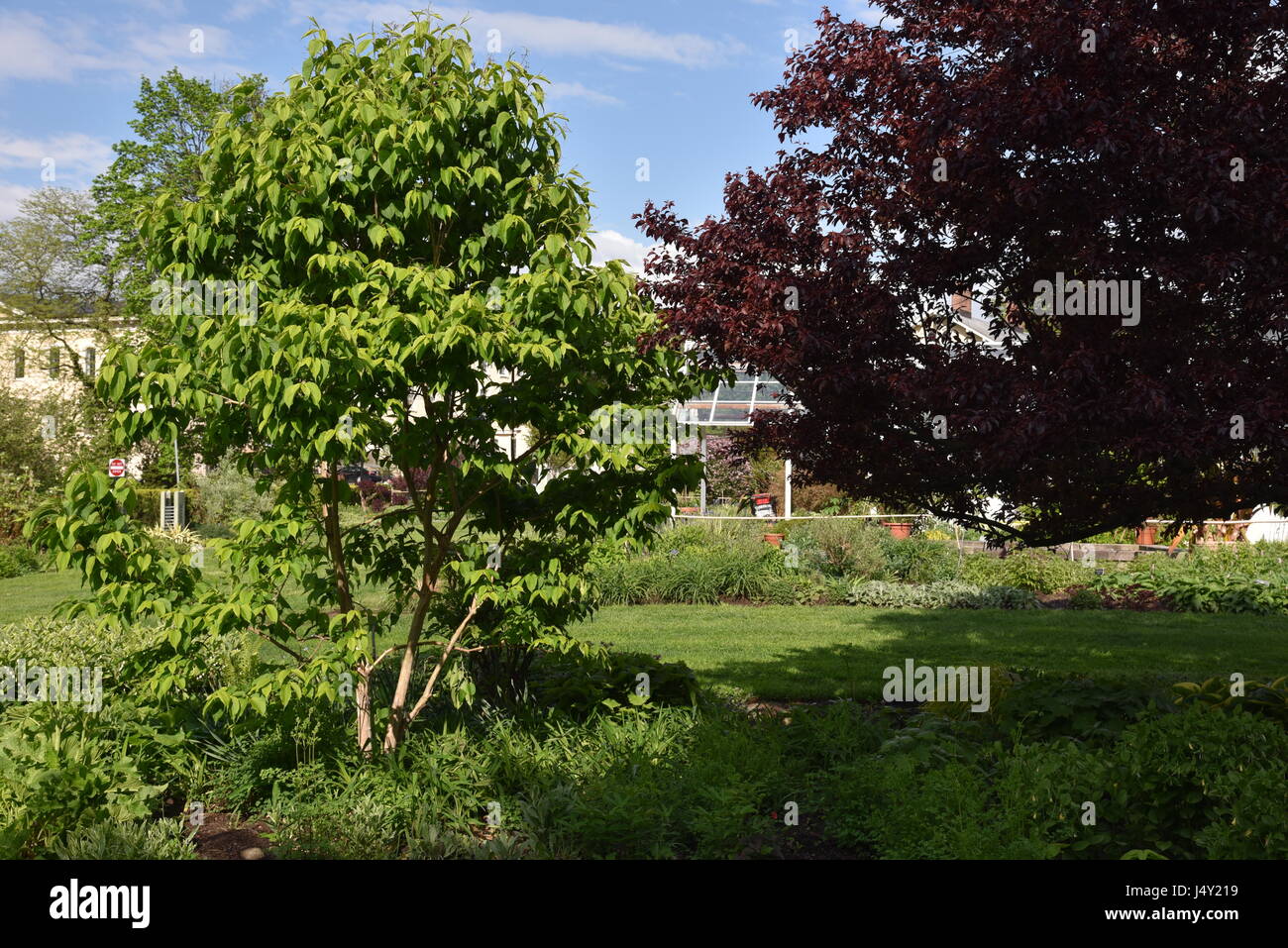 Spring at Snug Harbor Cultural Center and Botanical Garden; Staten ...