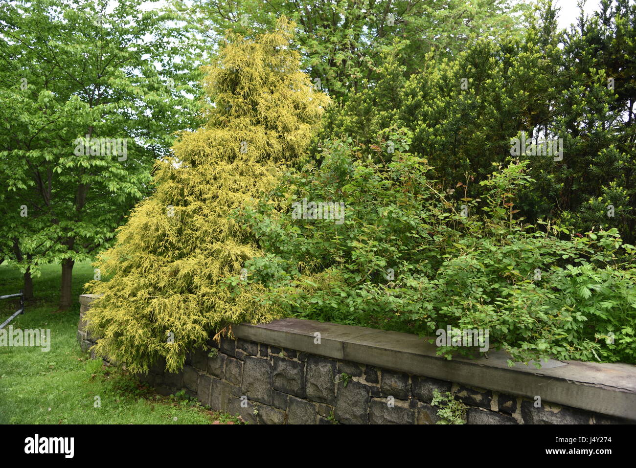 Spring at Snug Harbor Cultural Center and Botanical Garden; Staten ...