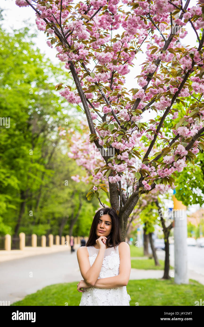 Girl with sakura tree flowers Spring concept Stock Photo - Alamy