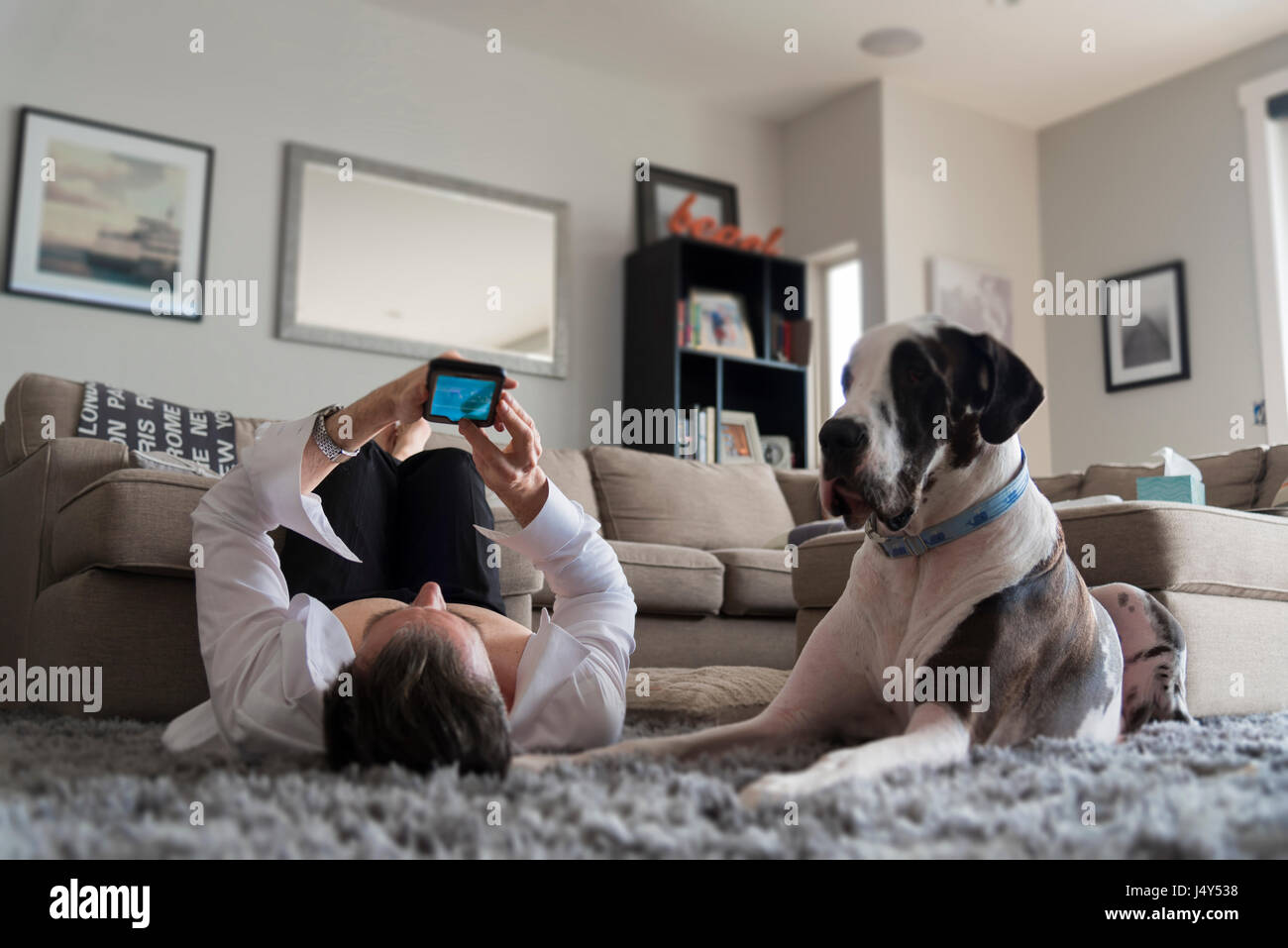 Man using technology while laying carpet flooring Stock Photo - Alamy