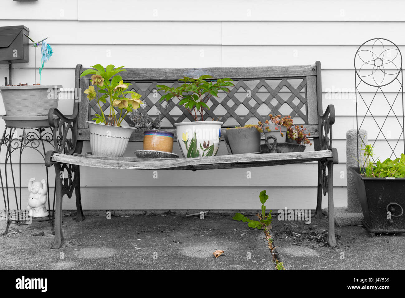 Rustic bench with old potted plants Stock Photo - Alamy