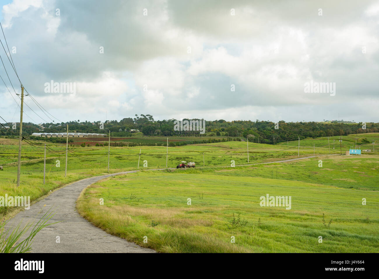 Barbados countryside hi-res stock photography and images - Alamy