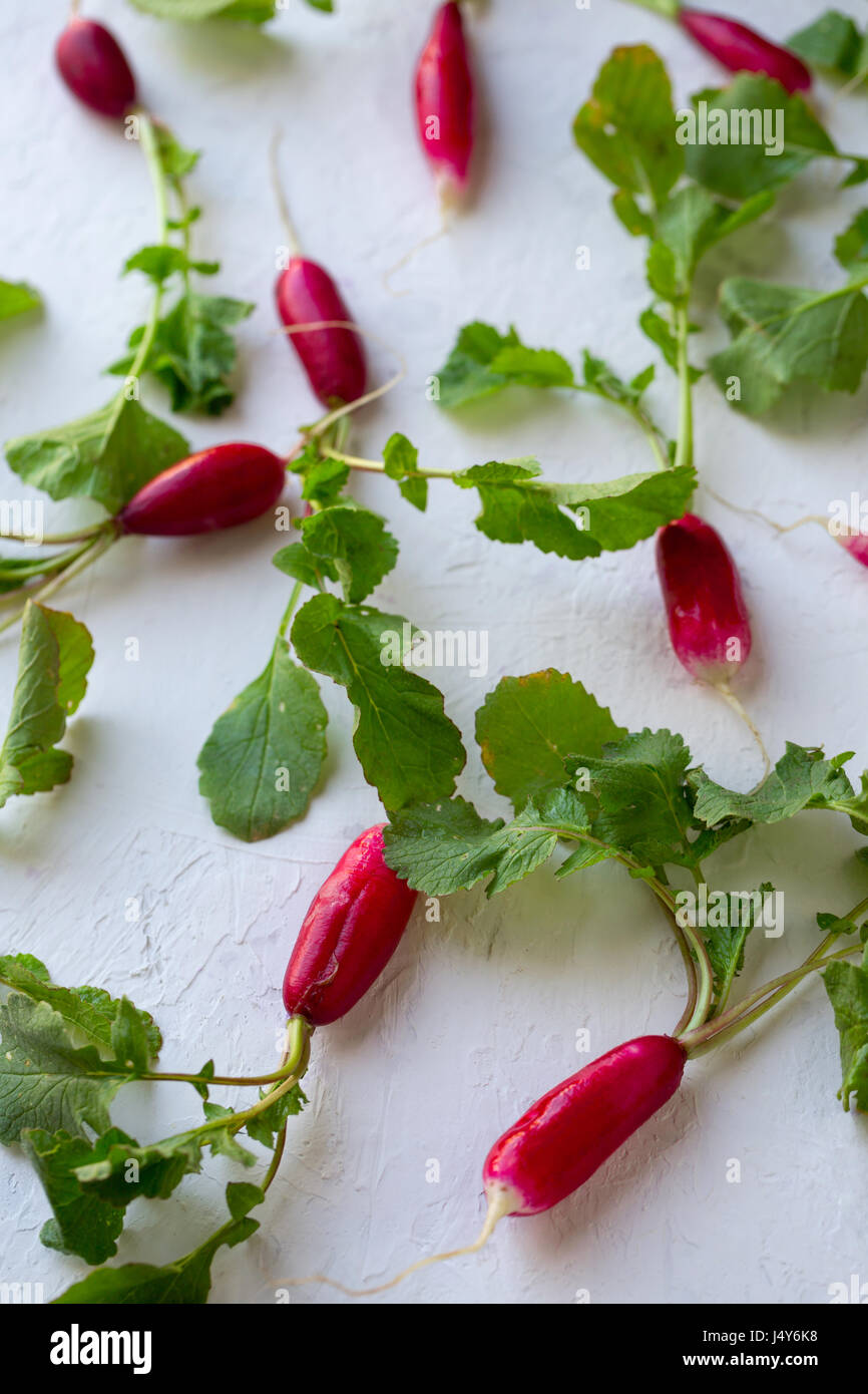 Long radishes, close-up Stock Photo - Alamy