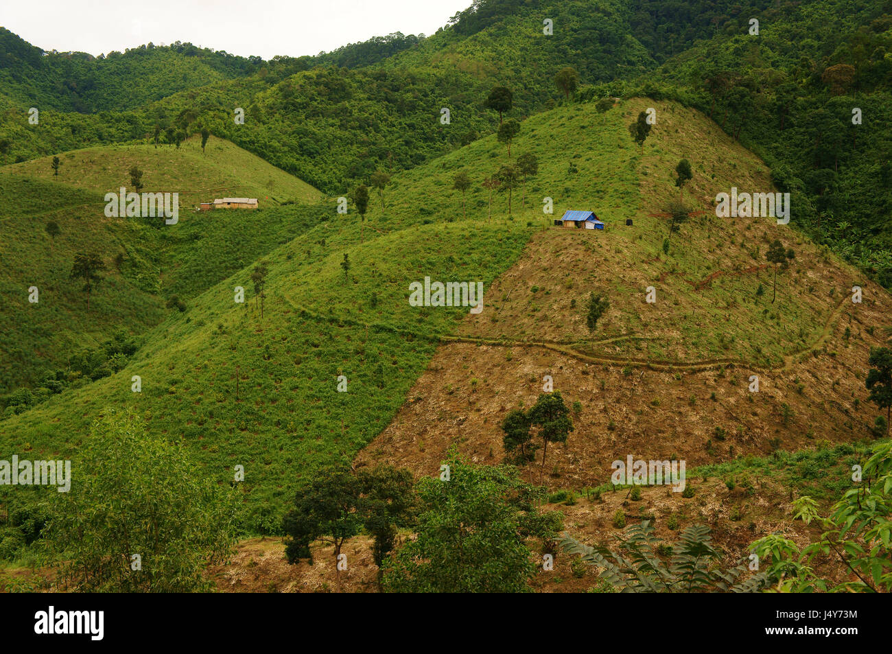 Deforestation and its consequences hi-res stock photography and images ...