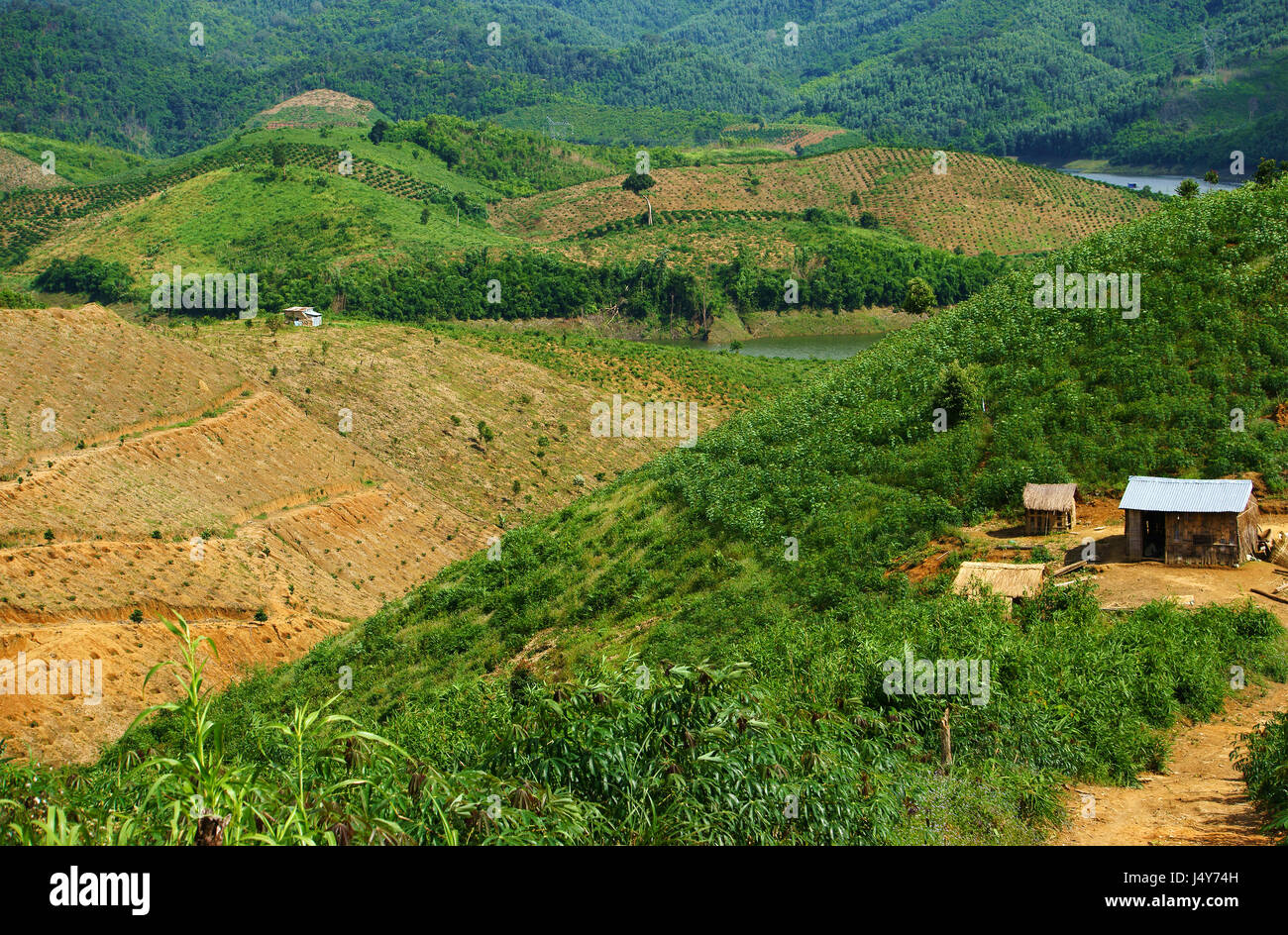 Deforest for agriculture at Vietnamese highland, house on bare hill ...