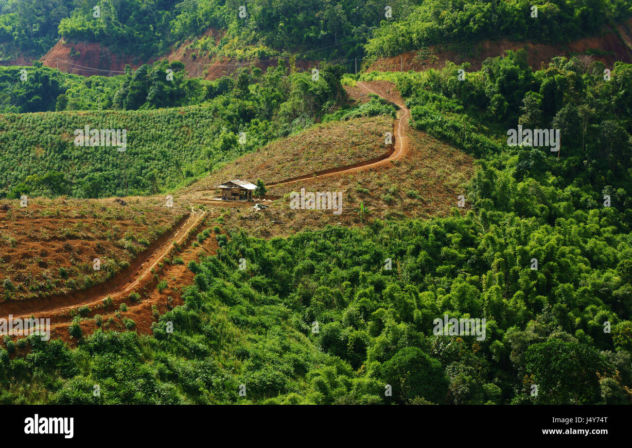 Deforest for agriculture at Vietnamese highland, house on bare hill ...