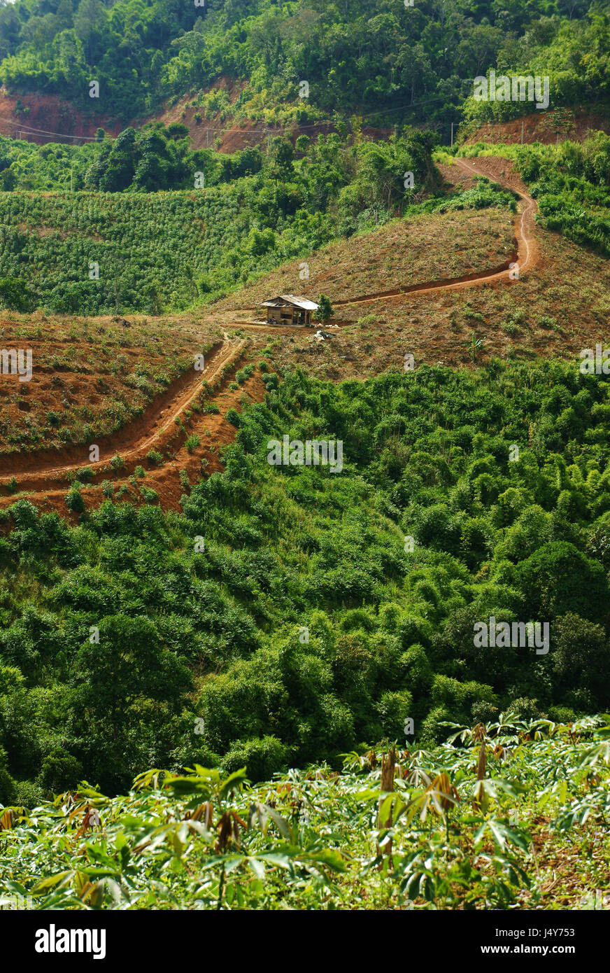 Deforest for agriculture at Vietnamese highland, house on bare hill ...