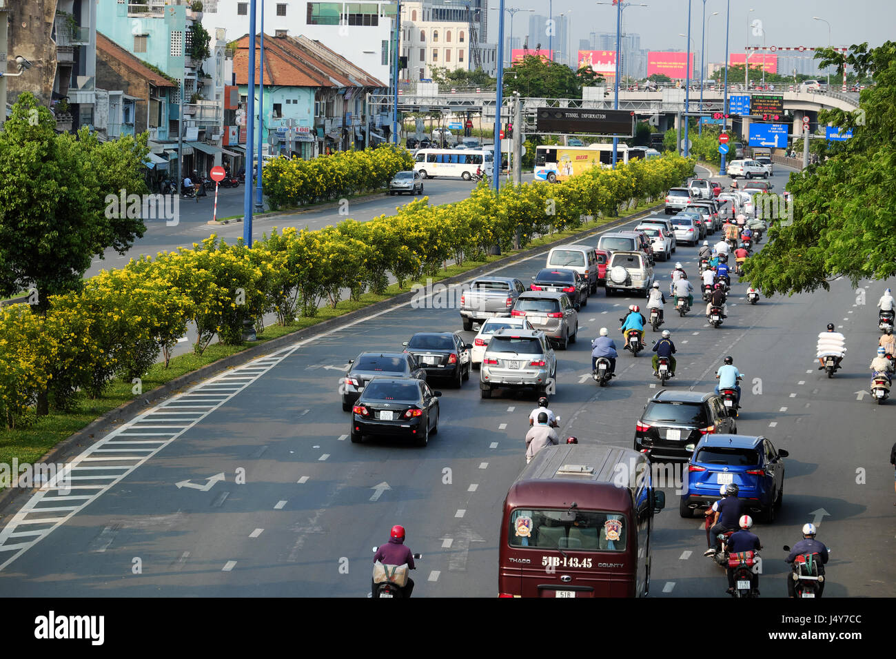 Ho Chi Minh city, Viet Nam, urban landscape with yellow flower from row ...