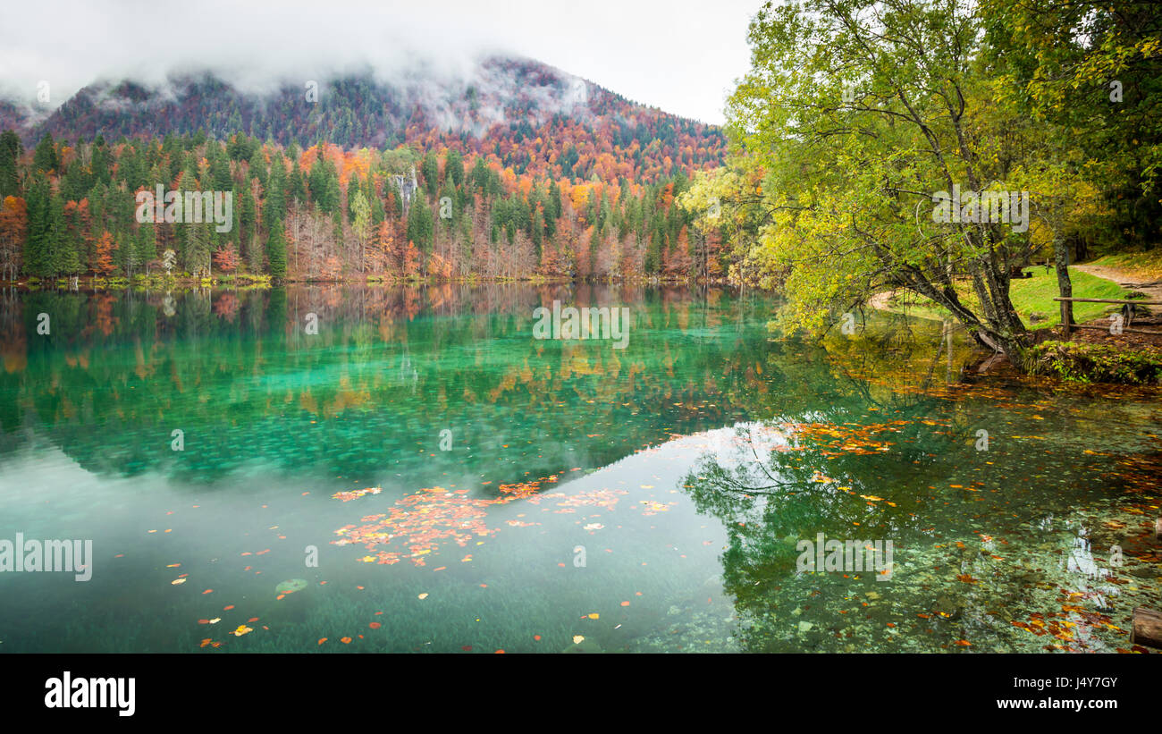 Fall in the italian alps in a misty day Stock Photo - Alamy