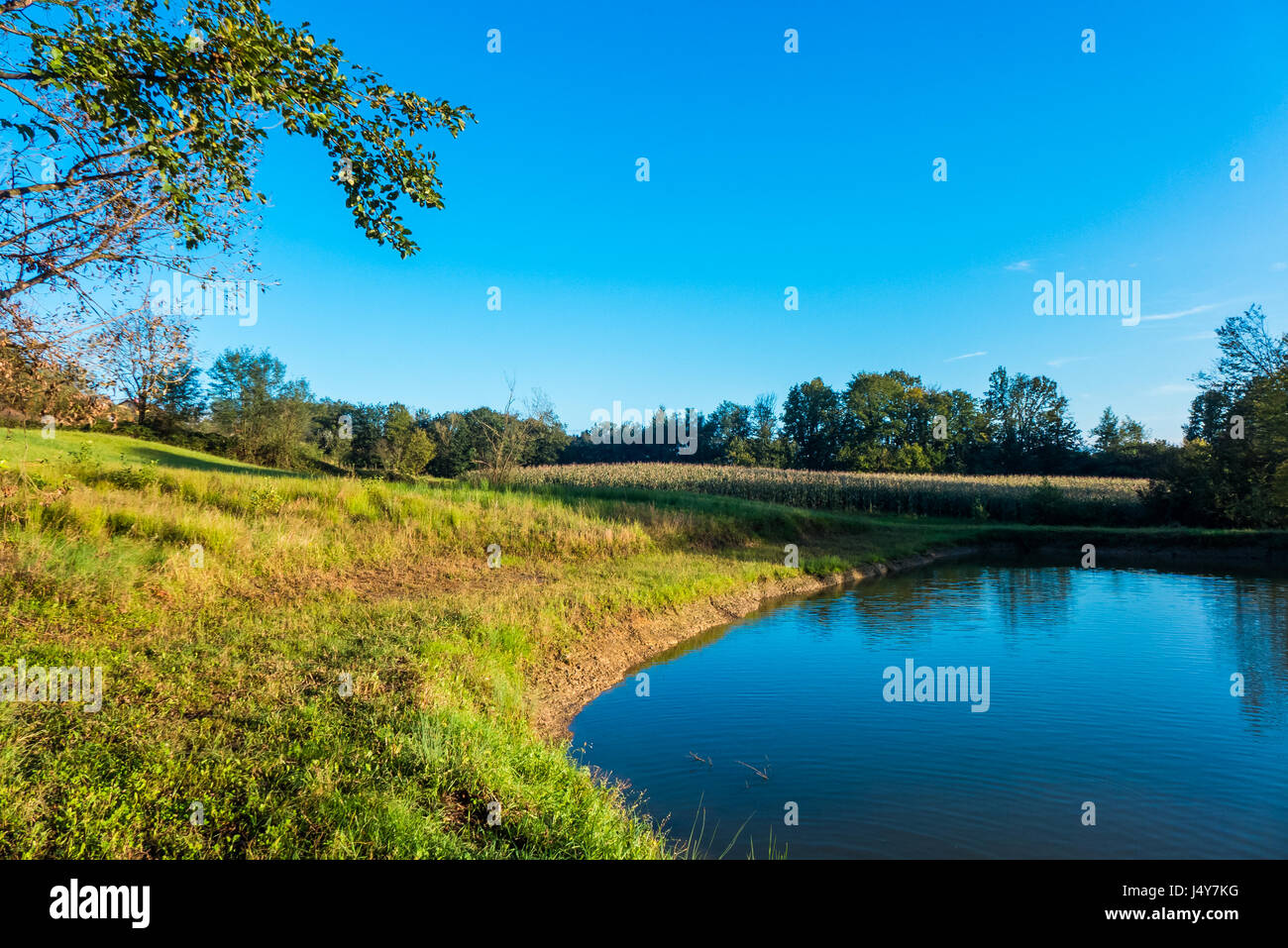 Countryside landscape with green fields and a small lake Stock Photo ...