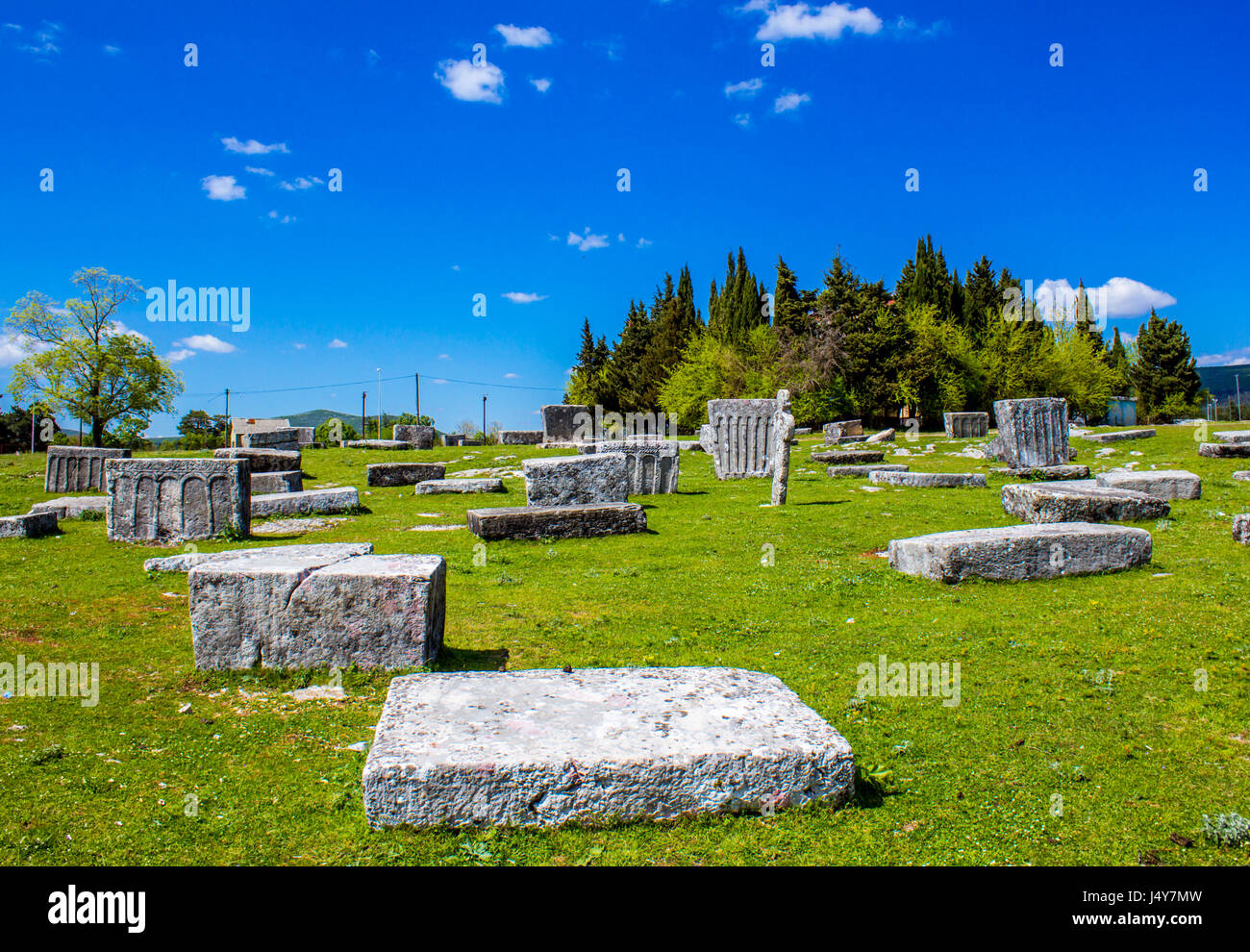 Gacko hi-res stock photography and images - Alamy