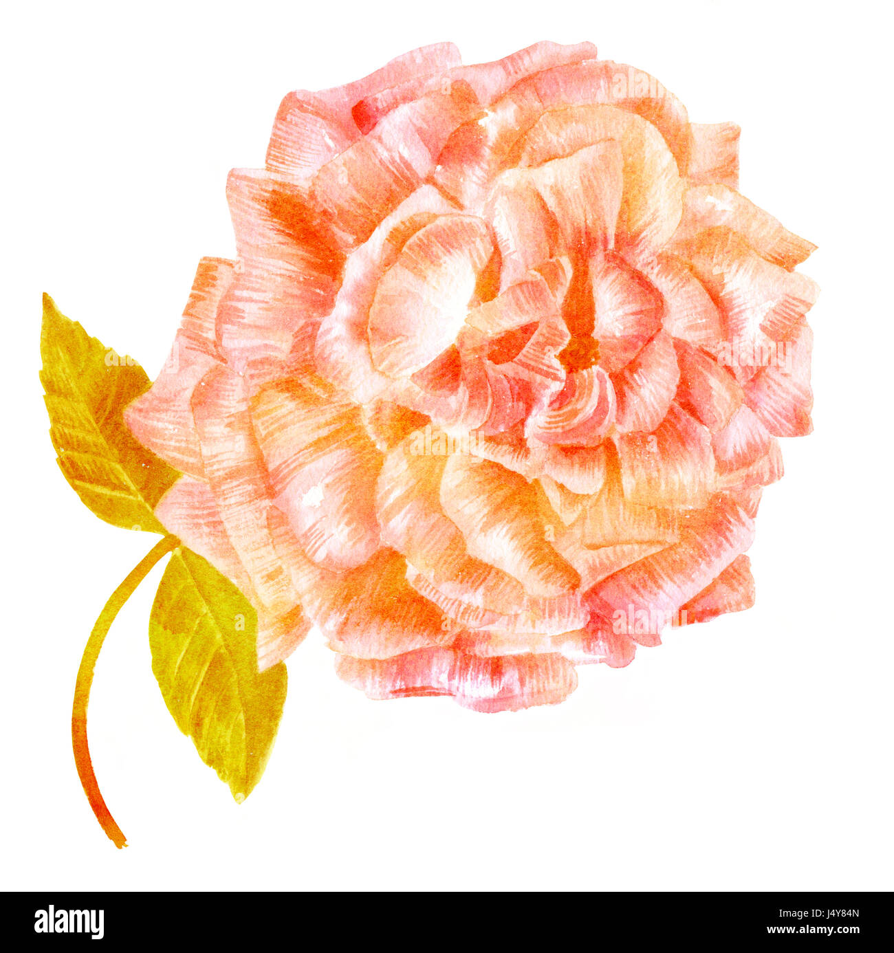 Realistic hand drawing golden Cut Out Stock Images & Pictures - Alamy