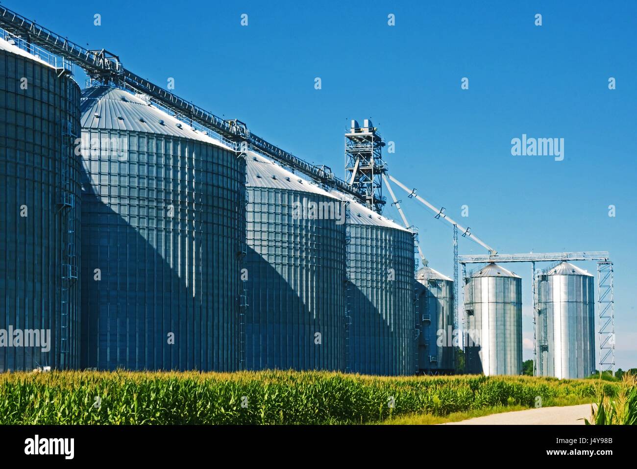Rows of grain elevator silos in Southwestern Michigan Stock Photo - Alamy