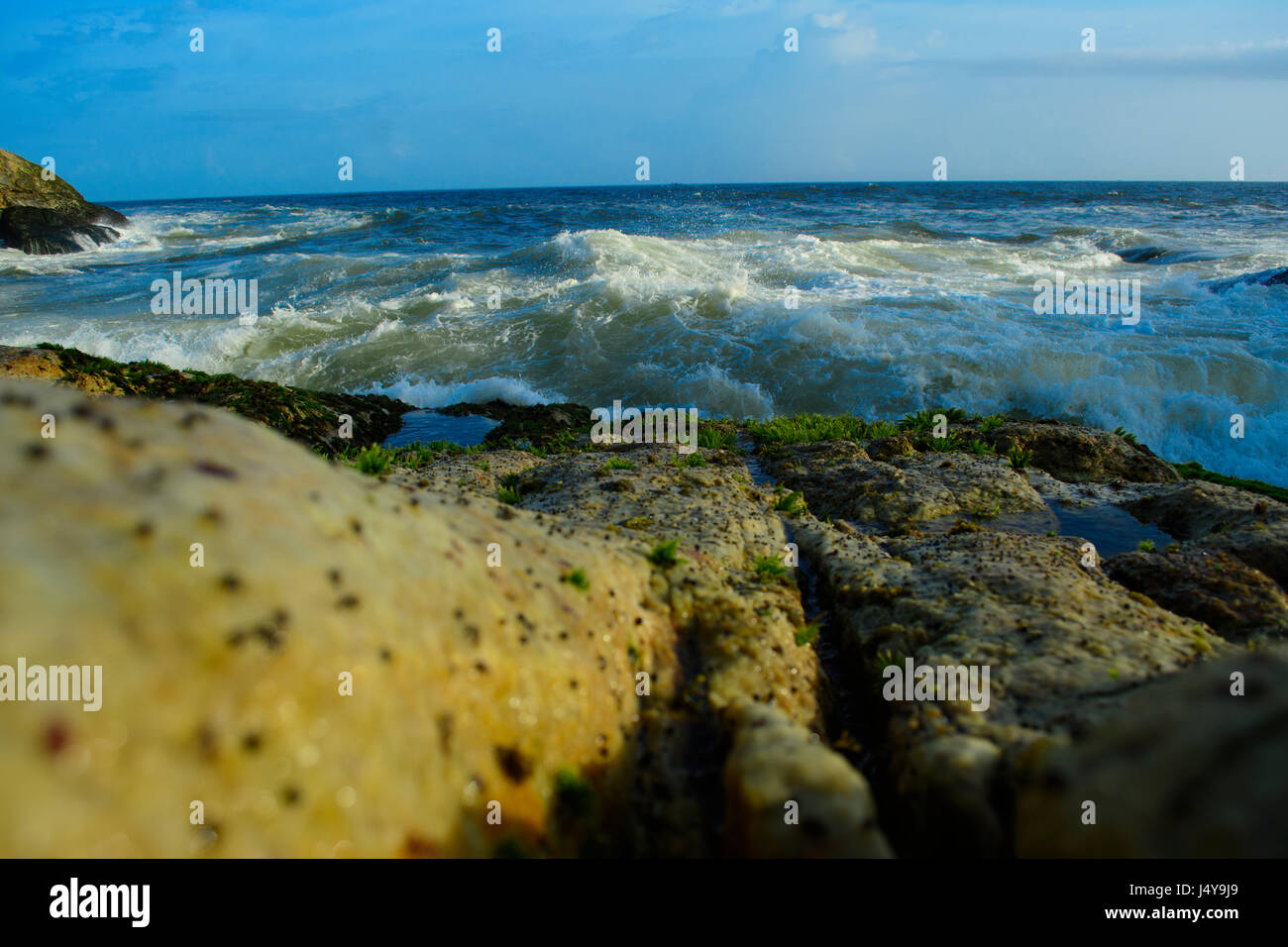 Waves washing over rocks with sea grass on it Stock Photo - Alamy