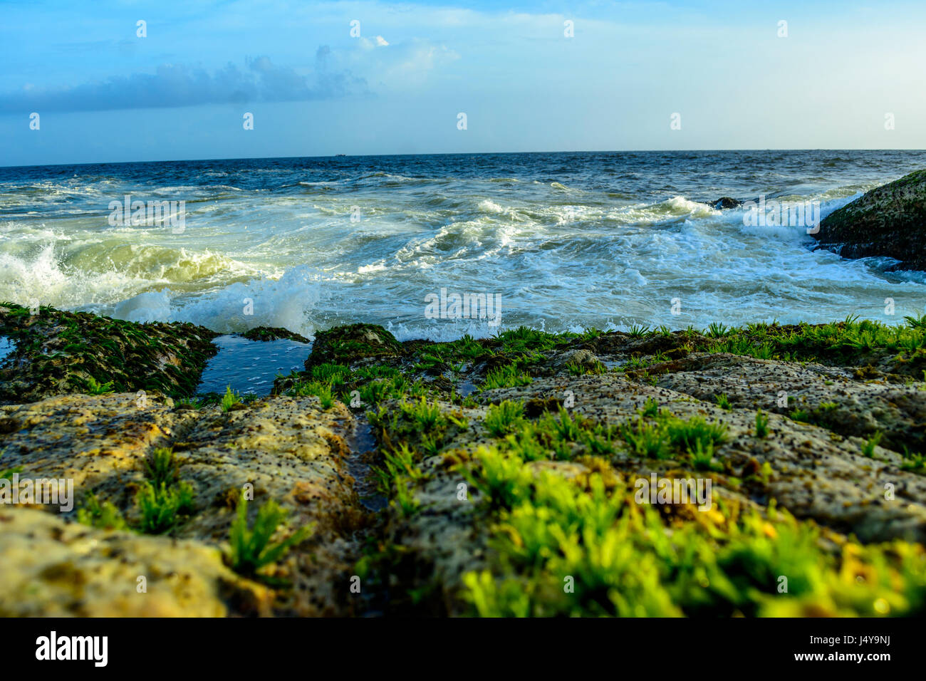 Waves washing over rocks with sea grass on it Stock Photo - Alamy