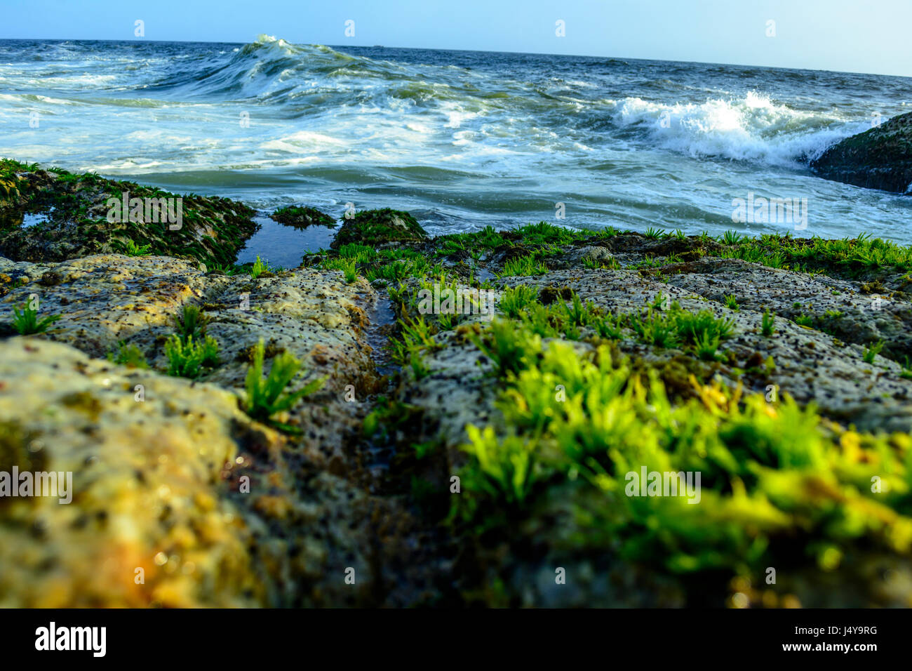 Waves washing over rocks with sea grass on it Stock Photo - Alamy