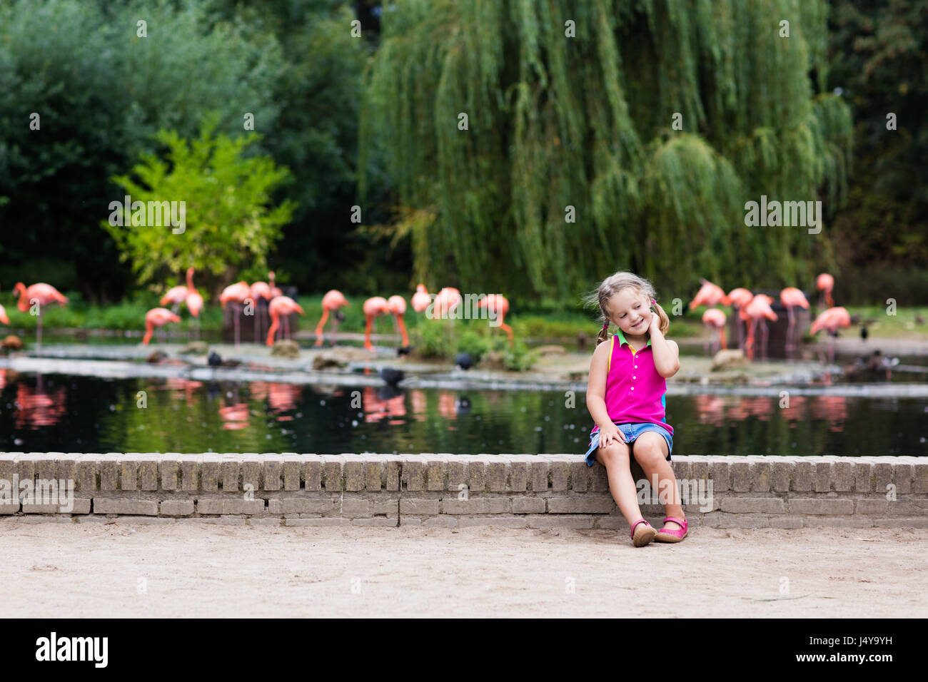 Kids watch animals and birds at the zoo. Children watching wild life at ...