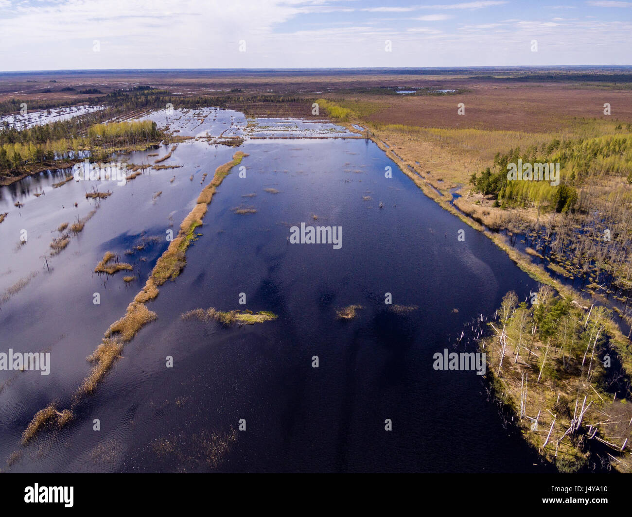 drone image. aerial view of rural area with swamp lakes with blue water ...