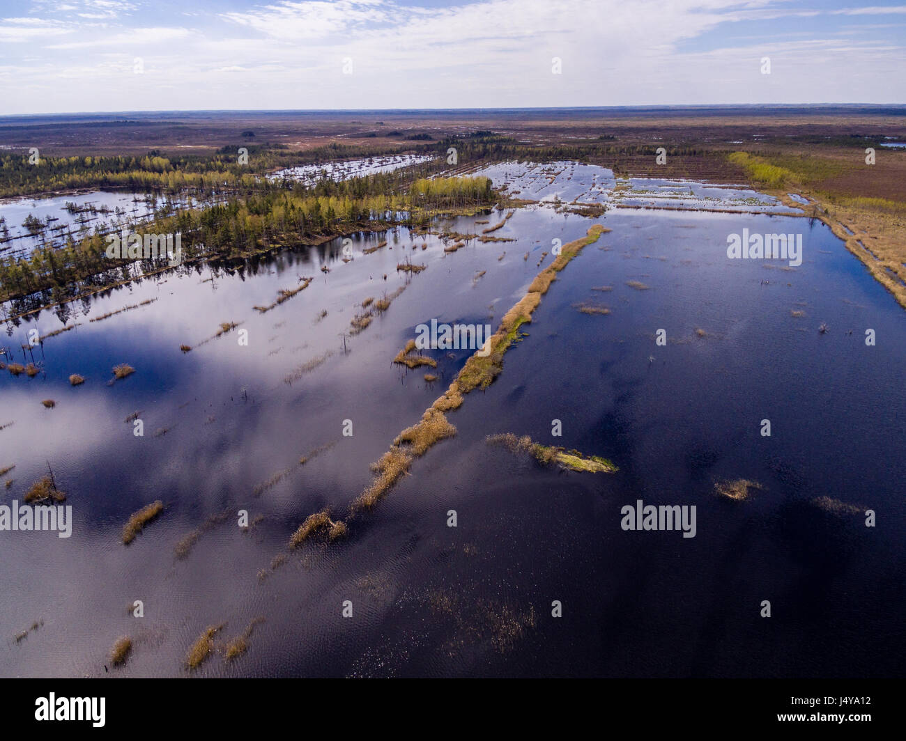 drone image. aerial view of rural area with swamp lakes with blue water ...
