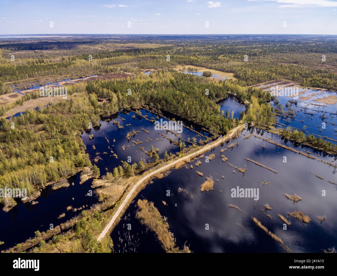 drone image. aerial view of rural area with swamp lakes with blue water ...